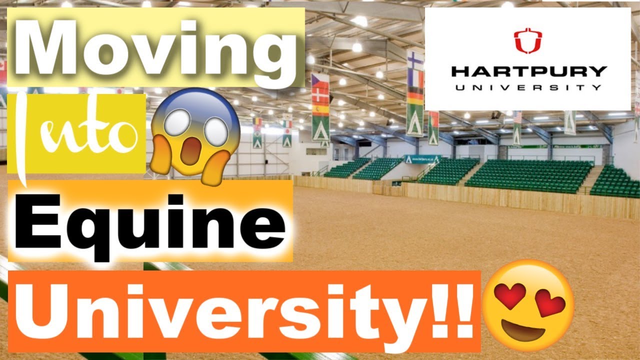 Moving into Hartpury Equine University | UNI VLOG 1| Ride Every Stride ...