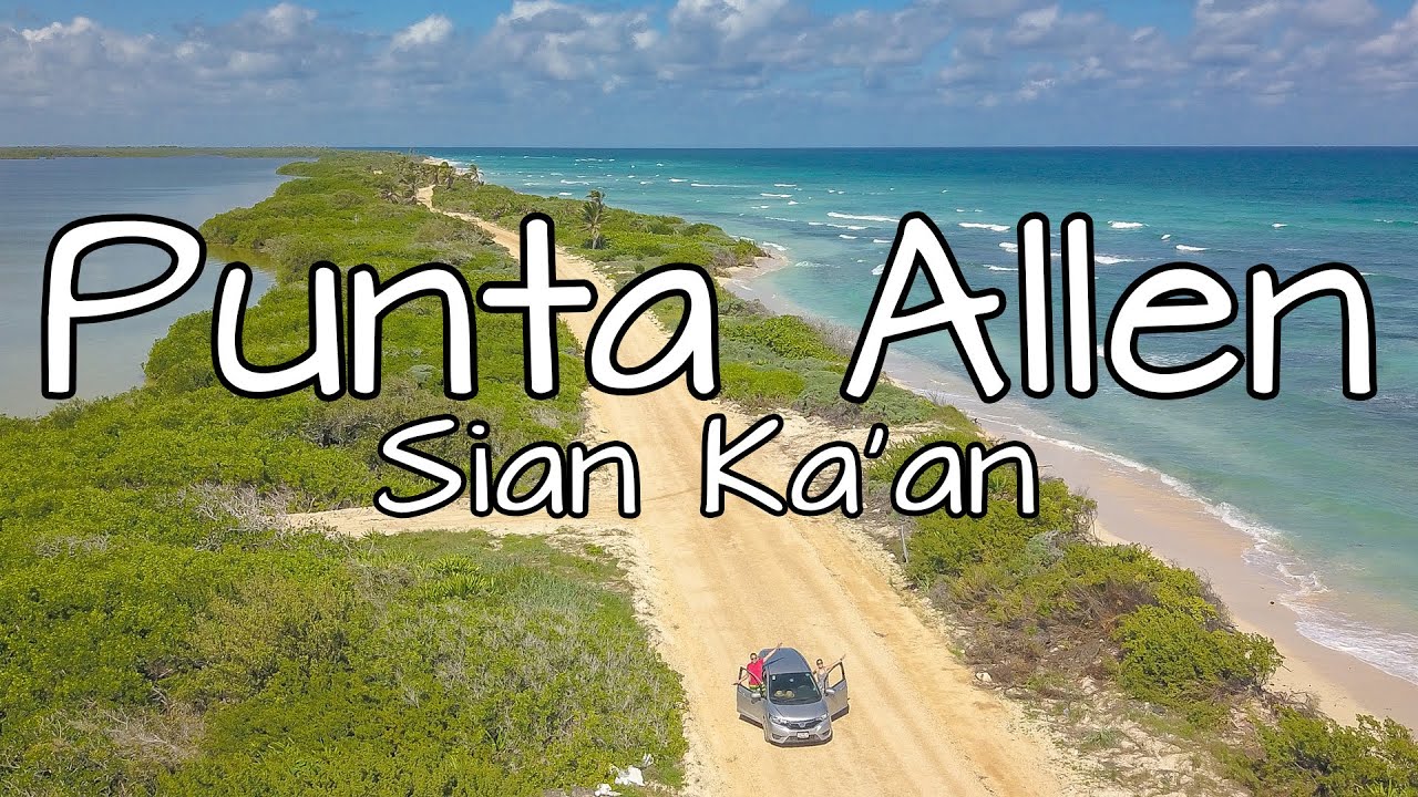 Punta Allen
