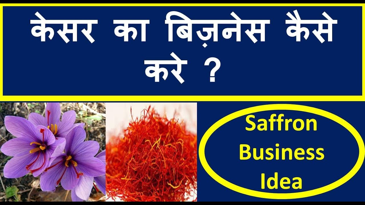 केसर का बिज़नेस कैसे शुरू करे? Saffron Business Idea, Kesar ka Business ...
