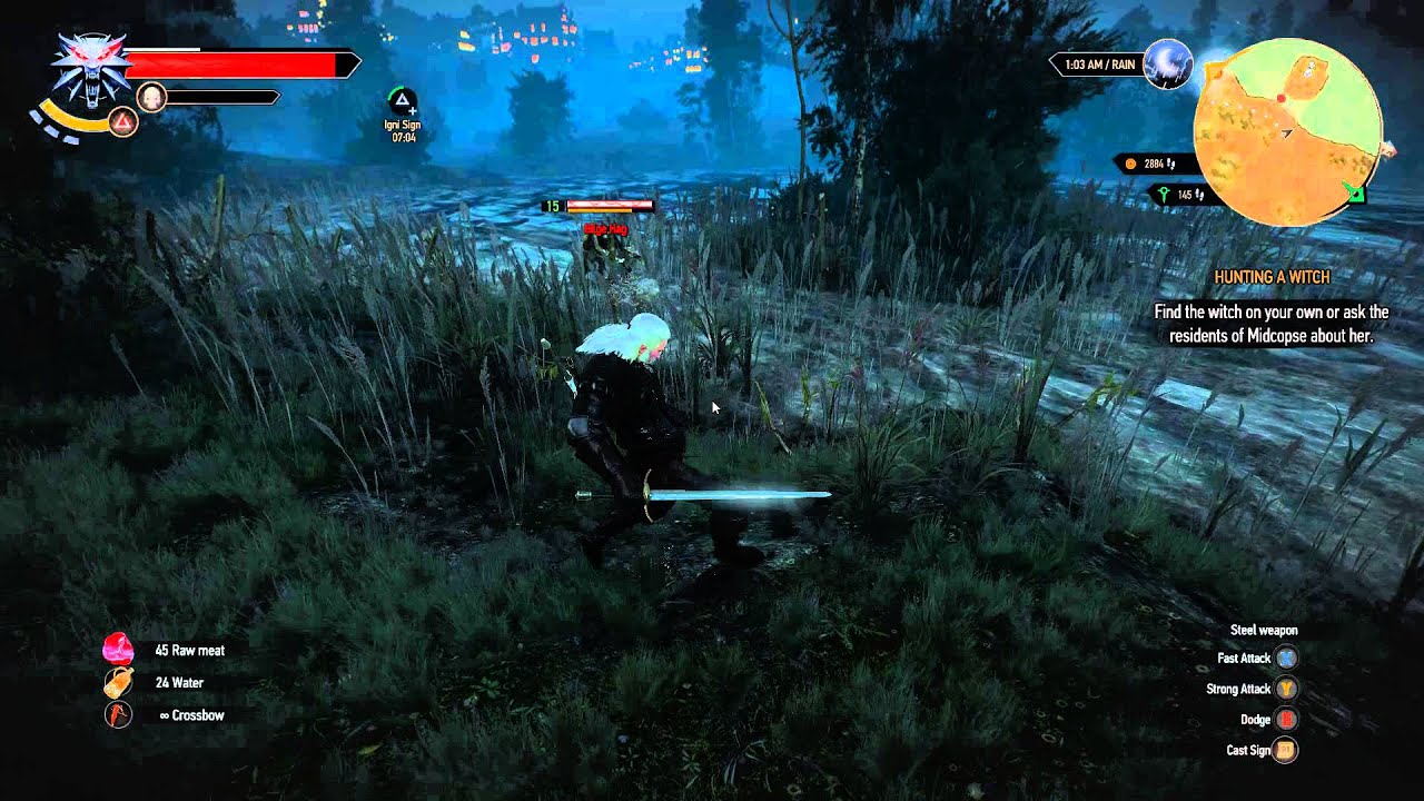 The Witcher 3 Wild Hunt | Bilge Hag - Killing Stratey - YouTube