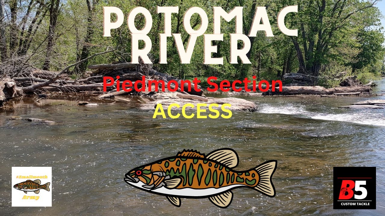 Upper Potomac River Access Piedmont Section Smallmouth Fishing Pt. 1 ...