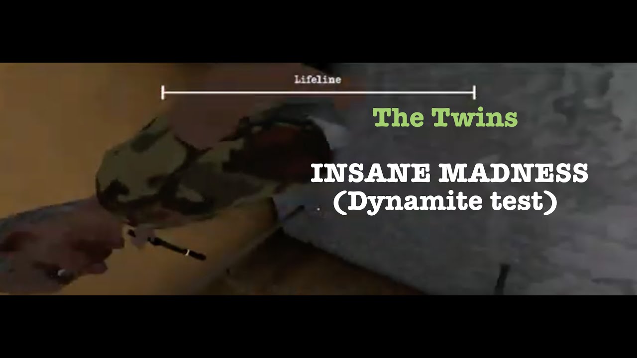 INSANE MADNESS!! || The Twins Hard mode - YouTube