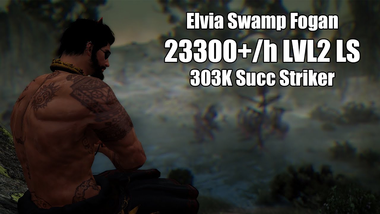 BDO Elvia Swamp Fogans 23300+/h lvl2 LS - 303K Succession Striker - YouTube
