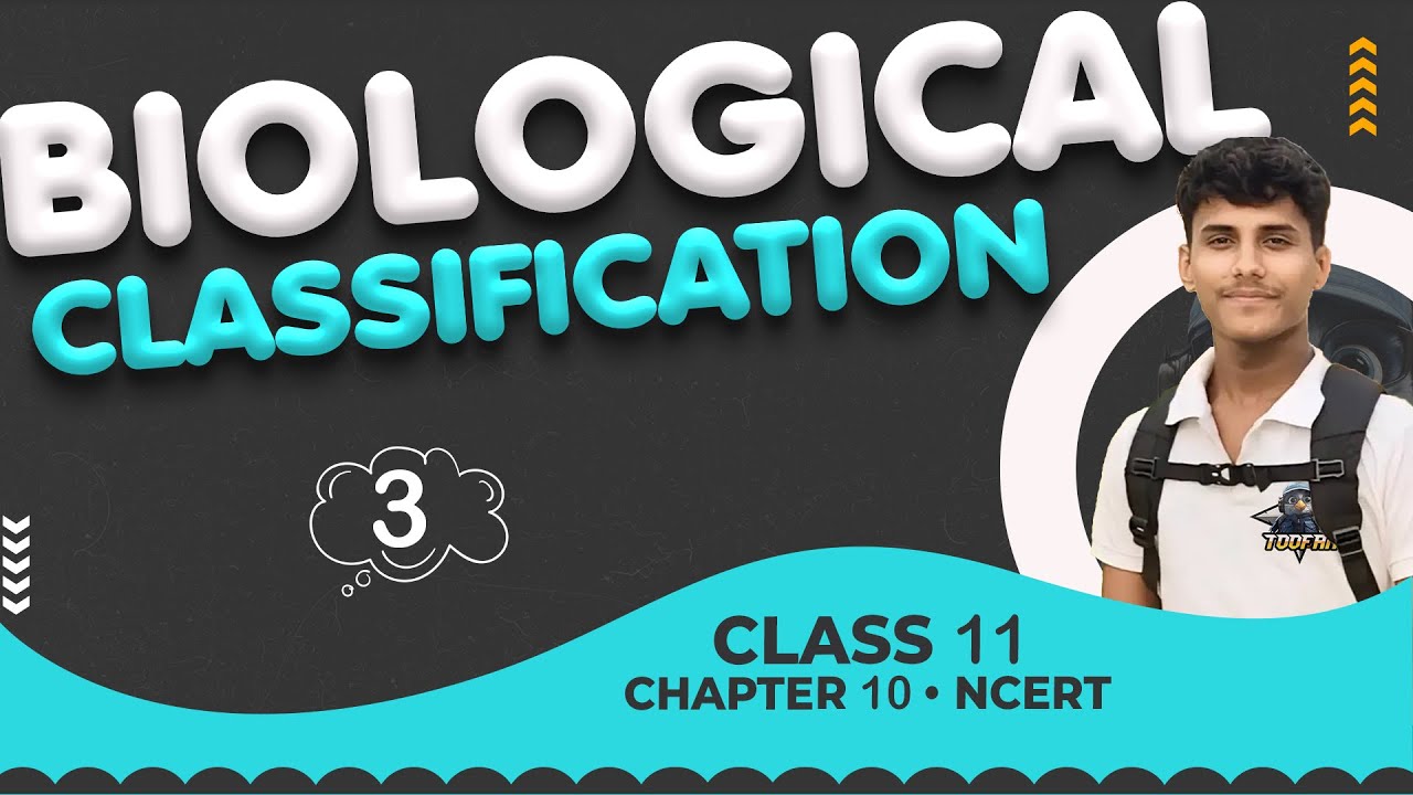 Fungi Kingdom • Biological Classification • Class 11 NCERT Explanation ...