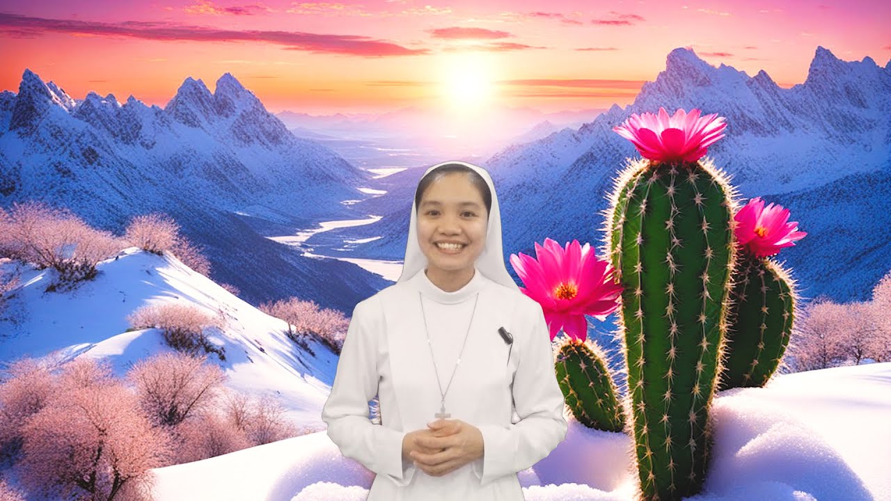 🏜️ Số 26: Sa mạc – nguồn cung cấp năng lượng tuyệt vời 🙋‍♂️🙋 BẠN ĐÃ ...