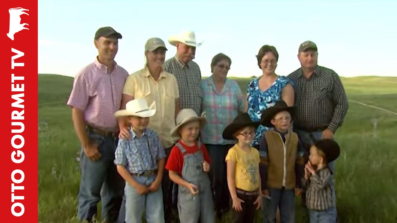 Zu Besuch auf der Morgan Ranch - YouTube