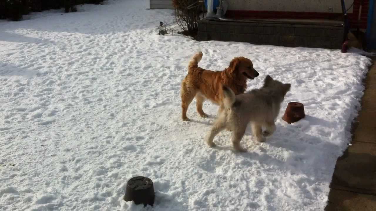 Bailey vs Oden outside - YouTube