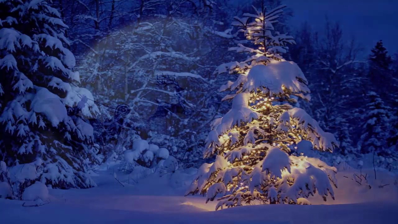 Những Bản Nhạc Giáng Sinh Không Lời Giai Điệu Vui Tươi - Noel/Giáng ...