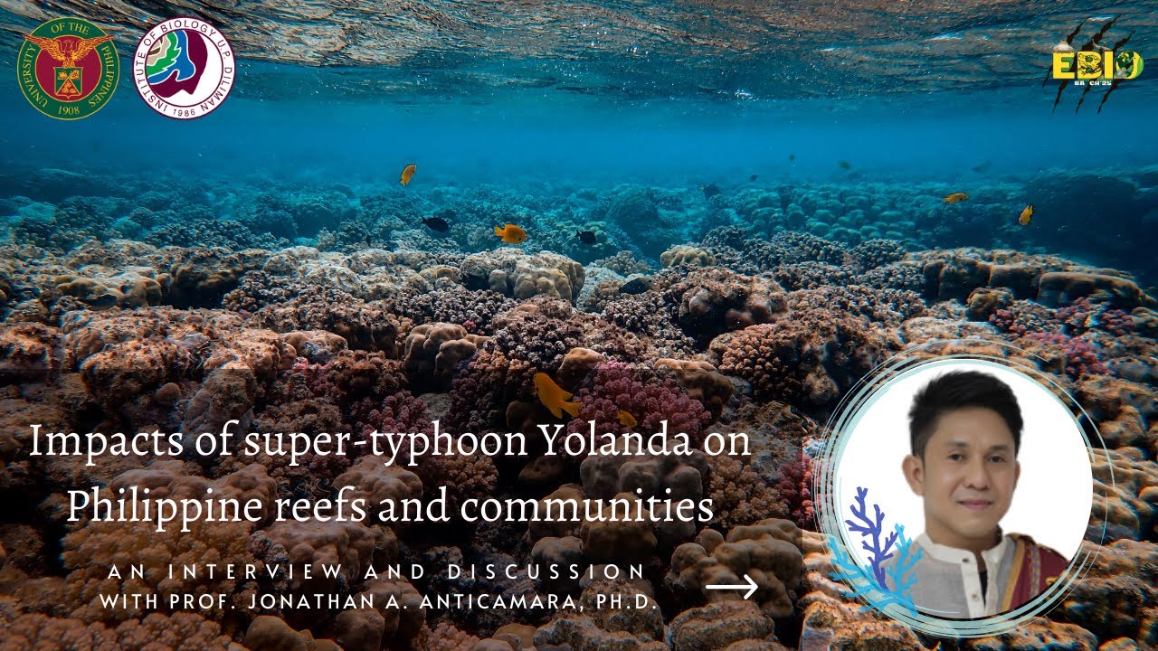 Featuring a Filipino Ecologist from University of the Philippines ...