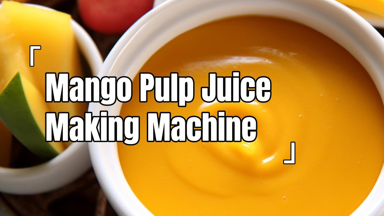 Automatic Fruit Pulp Extractor for Mango, Tomato, Bayberry - YouTube