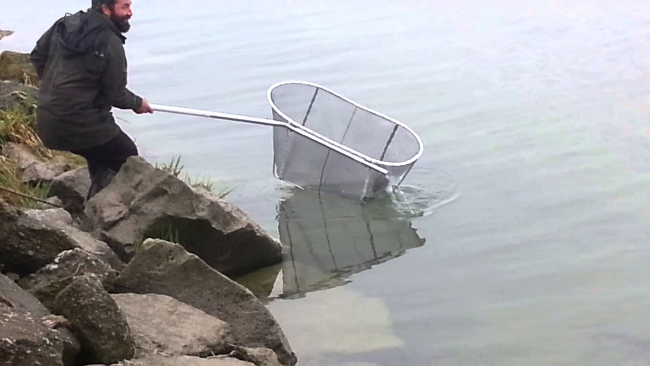 Eeling the Easy Way - YouTube