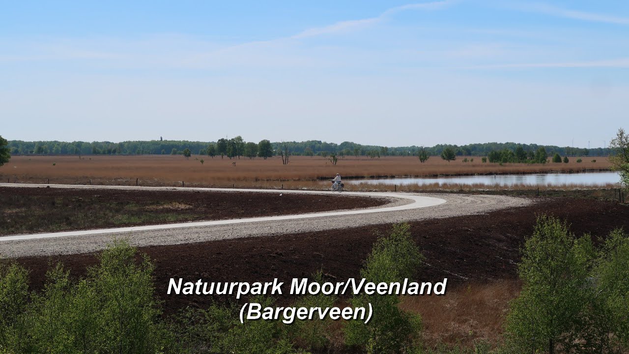 Natuurpark Moor/Veenland (Bargerveen) - YouTube