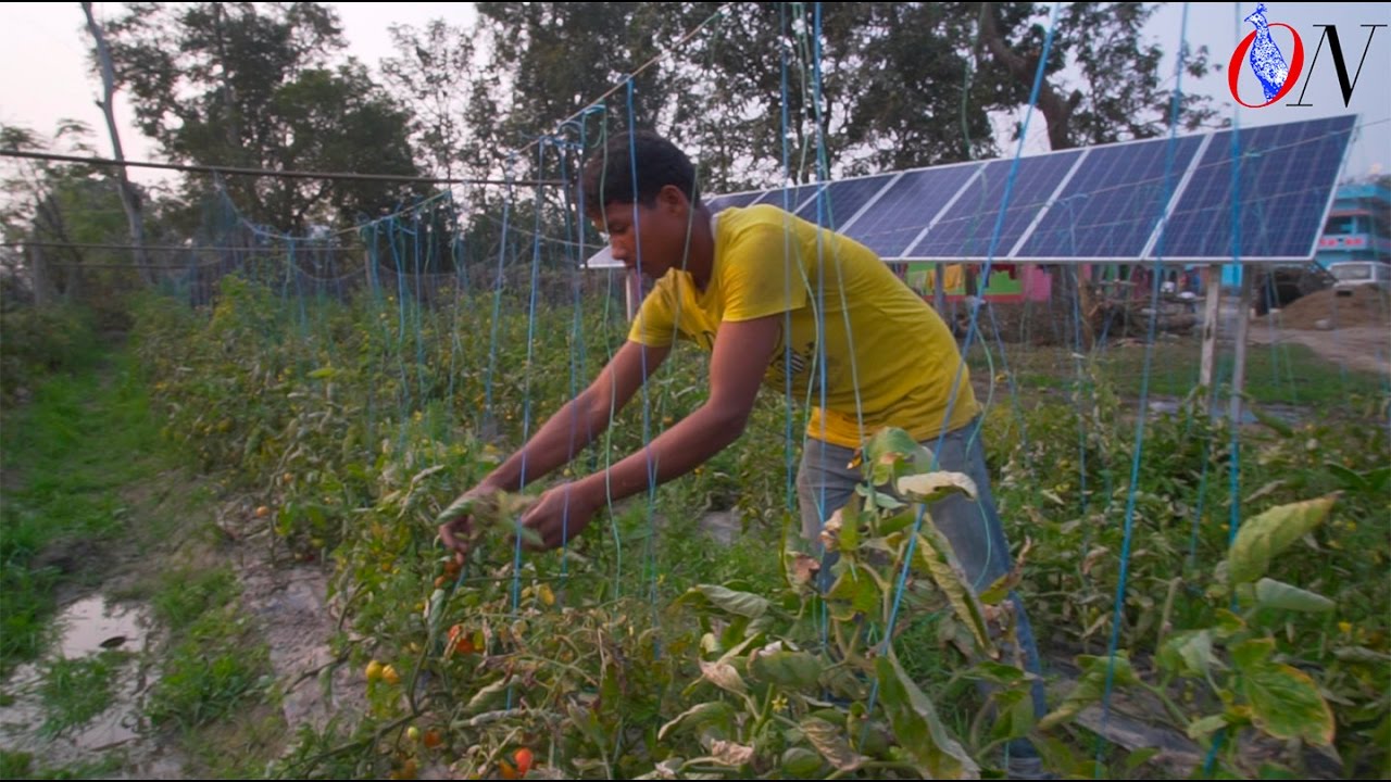 ON: Solar Powering Nepal's Agriculture - YouTube