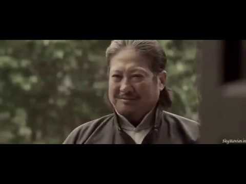 Dual=Audio Hindi Chines=2008= Bruce Lee's trainer