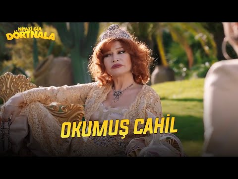 Niyazi Gül Dört Nala - Okumuş Cahil