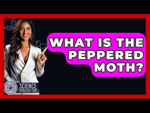 What Caused The Peppered Moths To Become Darker In Color