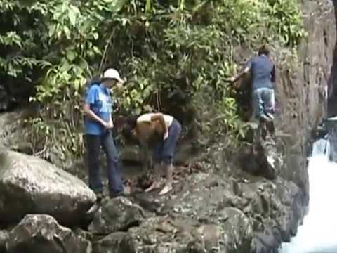 Nicaragua Matagalpa Saltos de Rio Blanco (cerro Musun) - YouTube