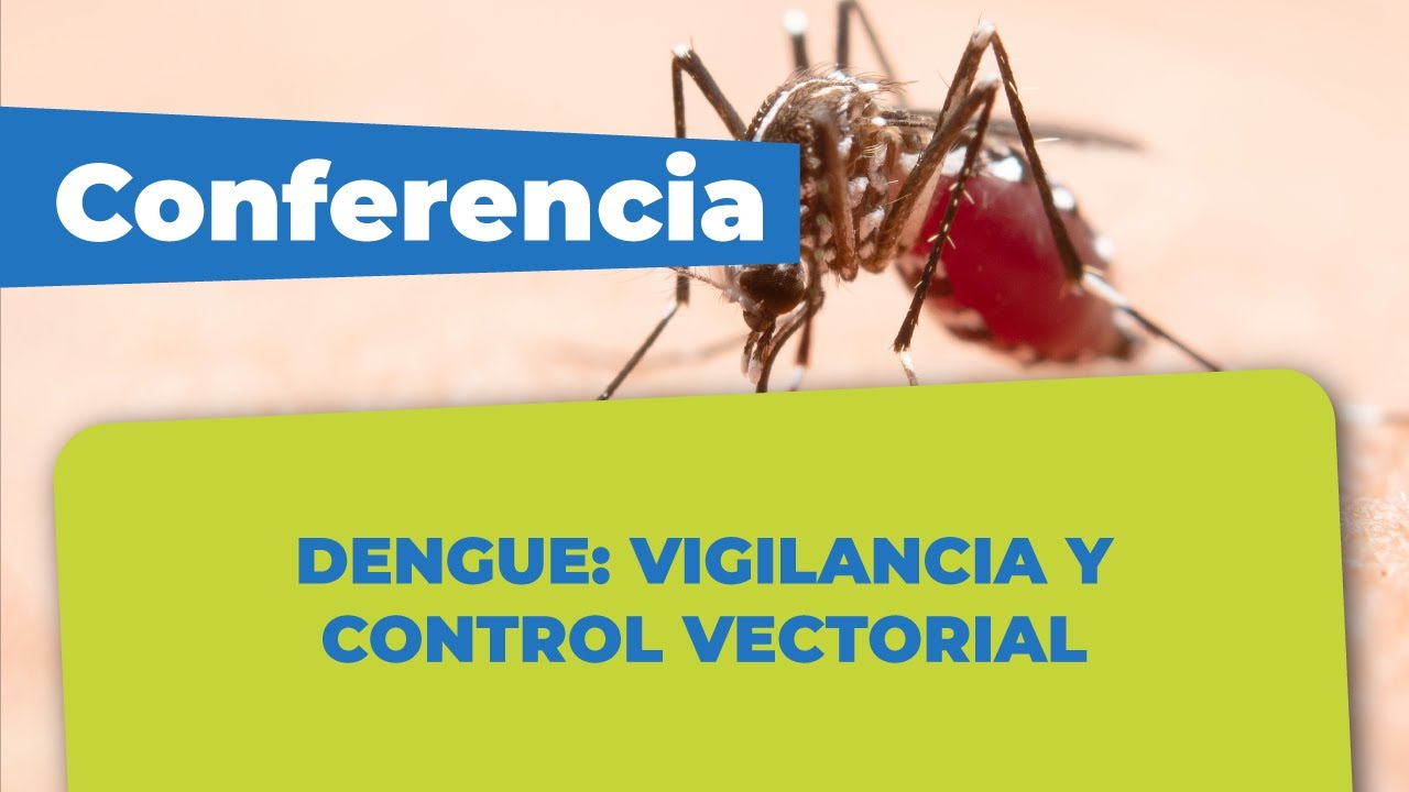 CONFERENCIA VIRTUAL – DENGUE: VIGILANCIA Y CONTROL VECTORIAL - YouTube