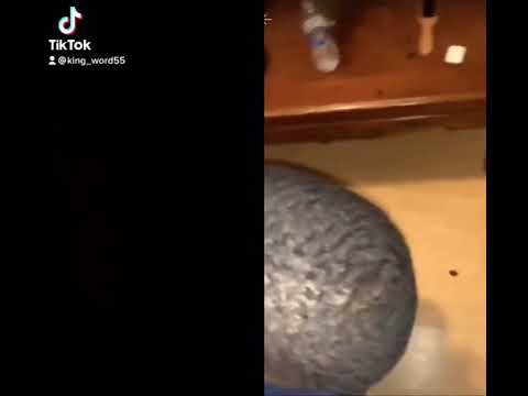 Kid cries over haircut - YouTube