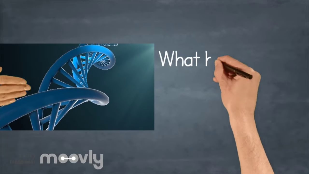 Transcription Coupled Nucleotide Excision Repair (TC-NER) - YouTube