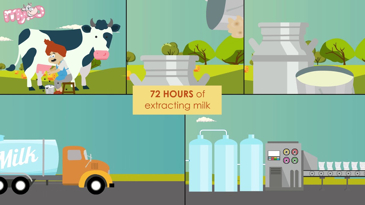 2D Character Animation Explainer Video for a Dairy Company - YouTube