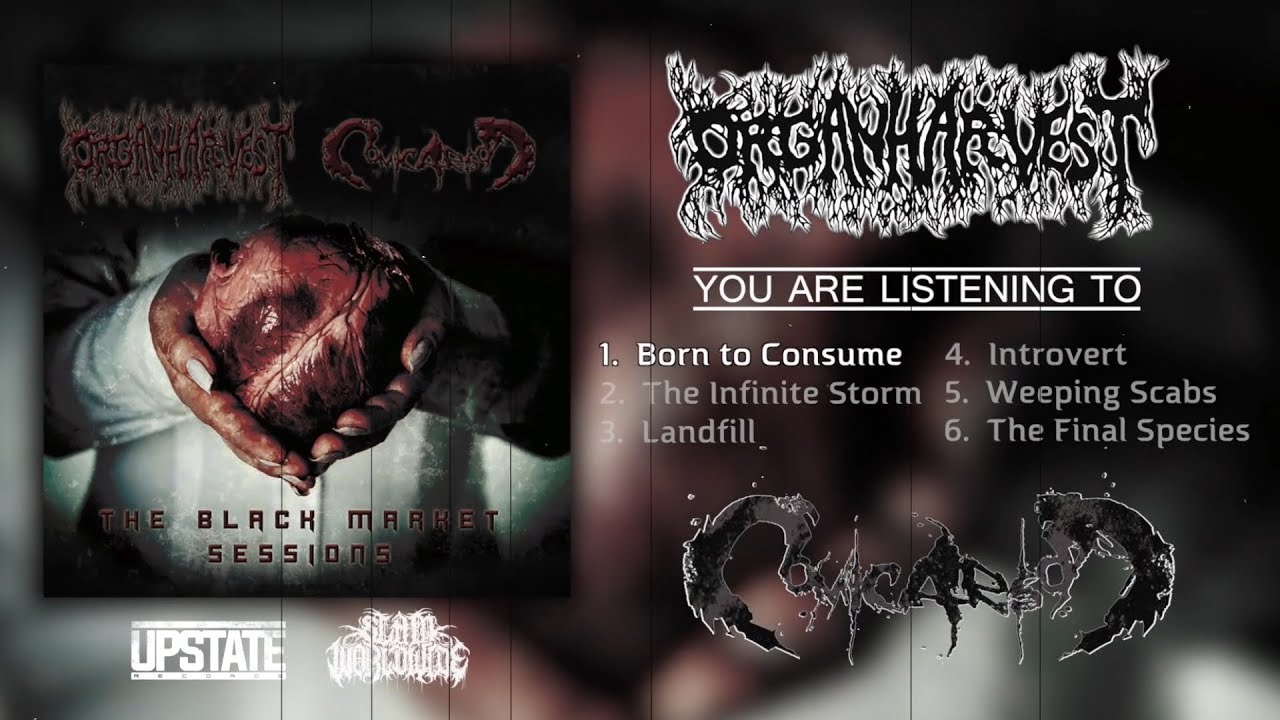 ORGANHARVEST / COMIC ARSON - THE BLACK MARKET SESSIONS [OFFICIAL SPLIT ...