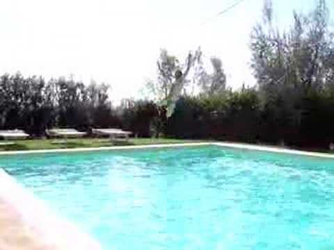 Man in speedos dives into swimming pool - YouTube