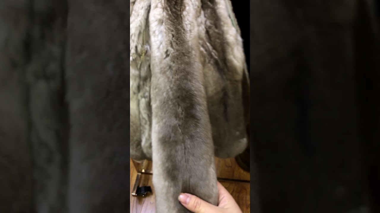 Beige chinchilla skins - YouTube