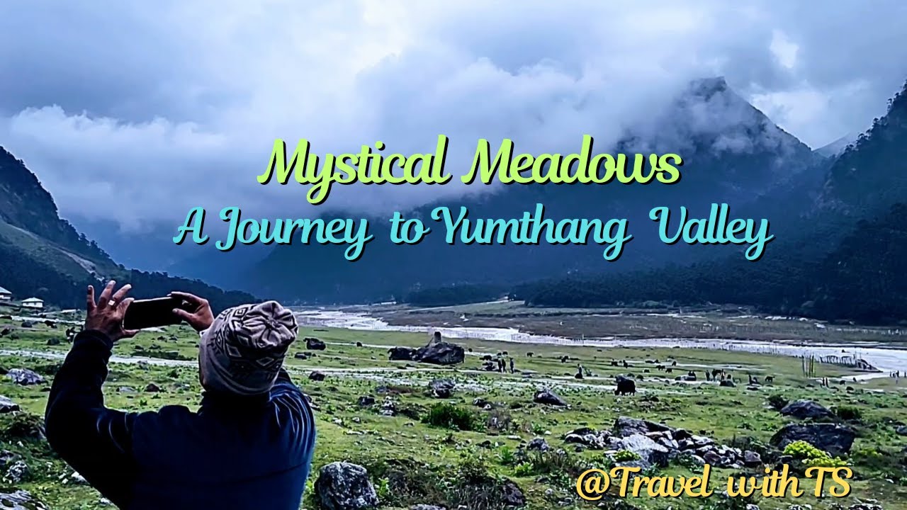 Mystical Meadows: A Journey to Yumthang Valley - YouTube