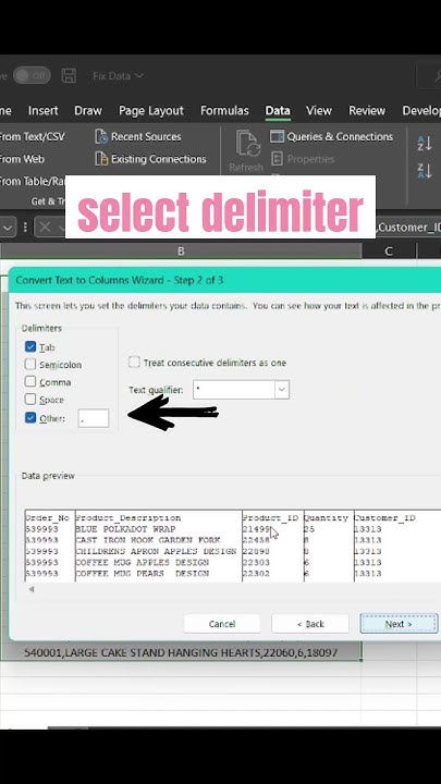Fix data quickly in Microsoft excel using delimiter | The Ultimate ...
