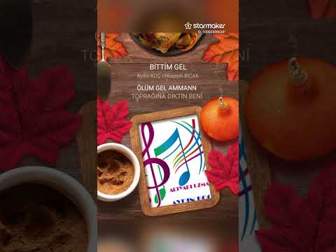 Mehmet Taşbaşı bittim gel