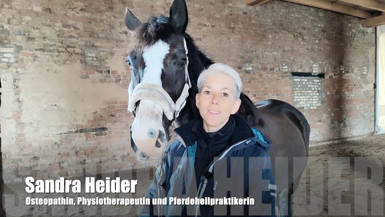 Sandra Heider - Osteopathin, Physiotherapeutin und ...