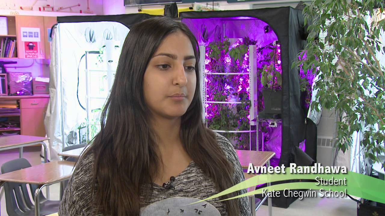 Kate Chegwin School - edible food gardens - YouTube