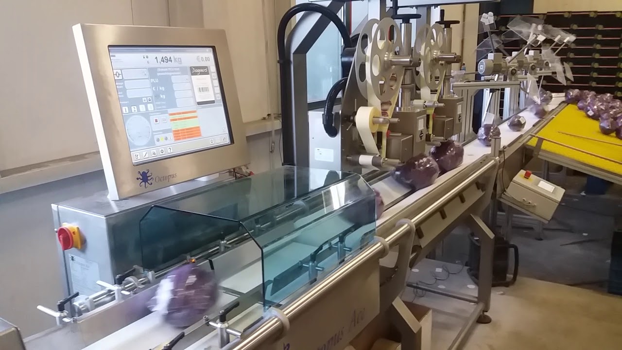 Octopus Ace Round Products - YouTube