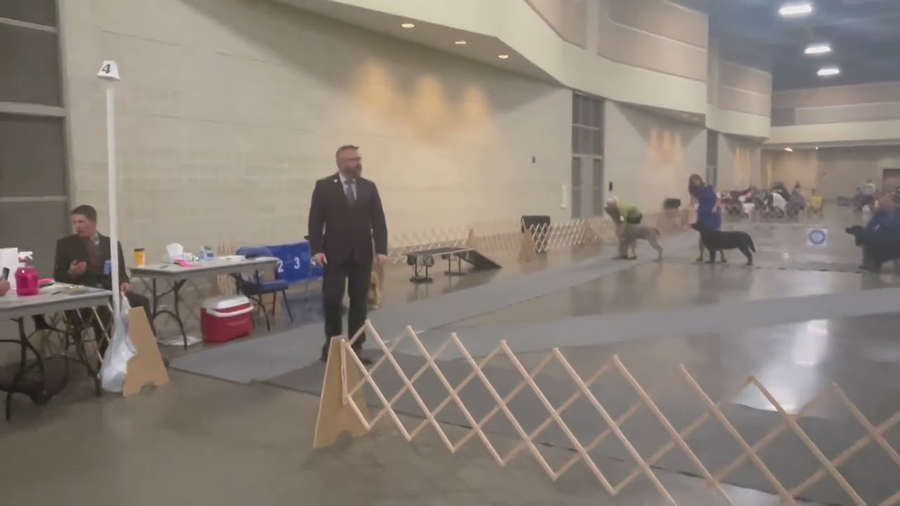 Owner Handler Sporting Group - Bismarck - Jason Hoke - YouTube