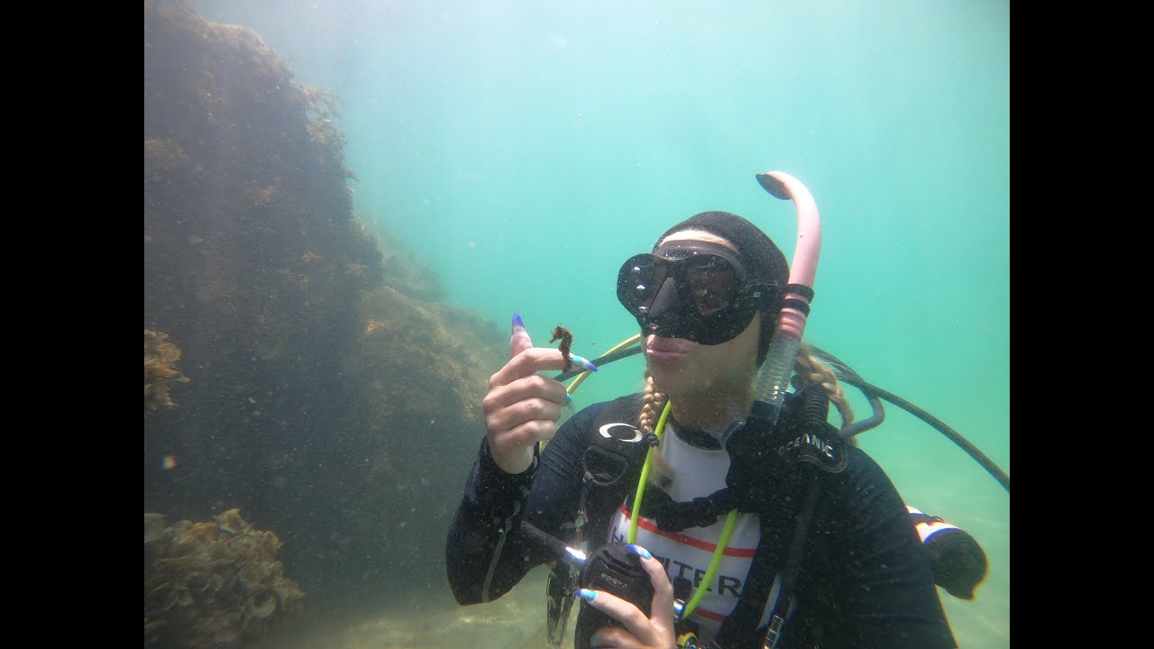 SCUBAnauts go diving with FSU PC Advanced Science Diving Program - YouTube