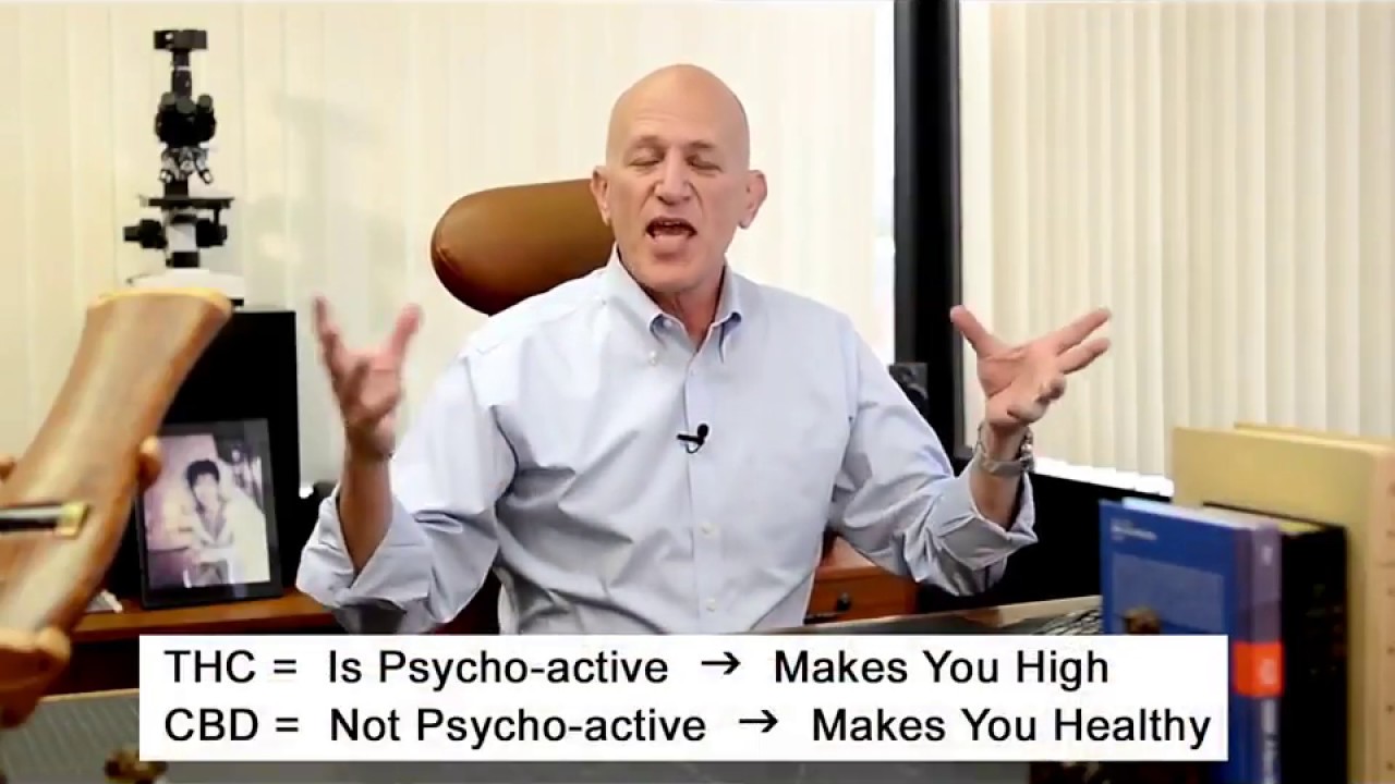 How CBD works in your body! Finally a video that shows the real effects ...