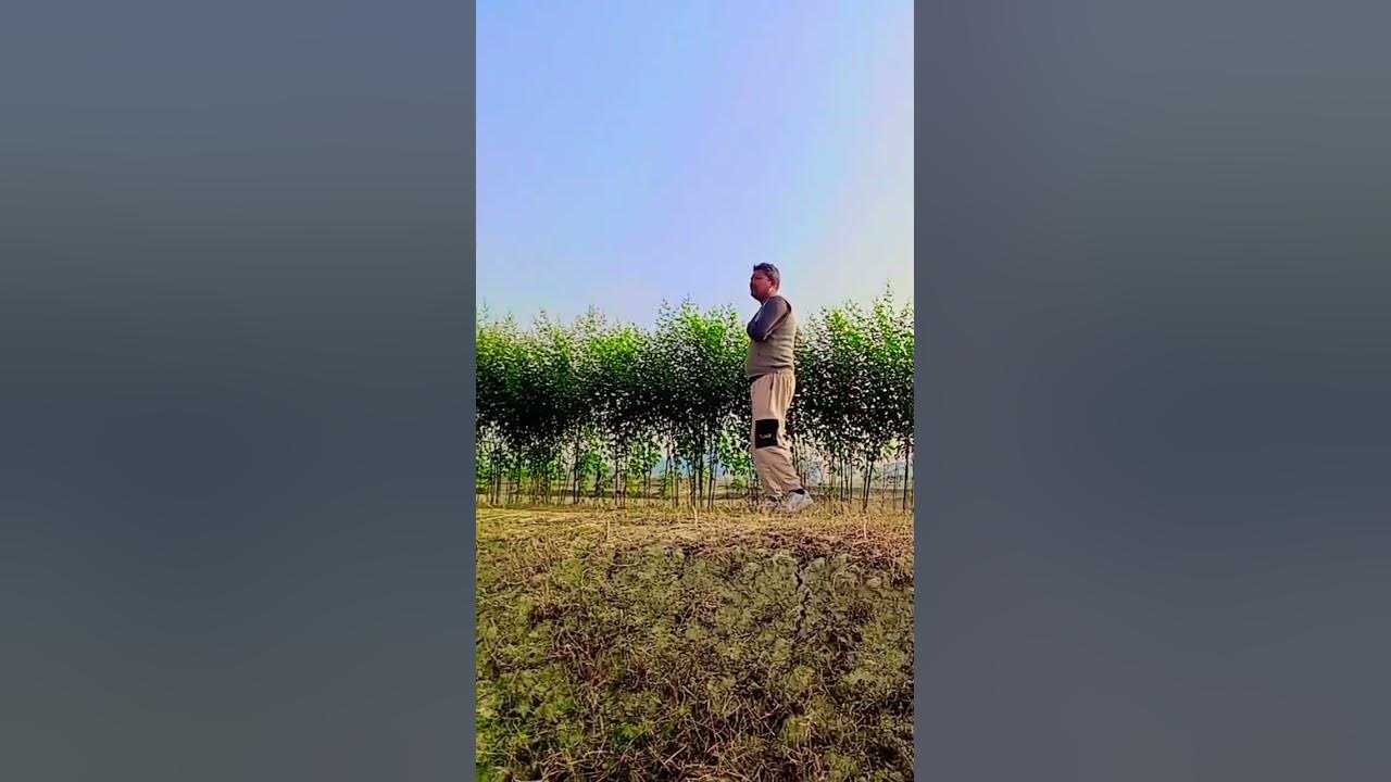 Tum ko hai #reels#trending #song #💐🌿🌹💘💯 - YouTube