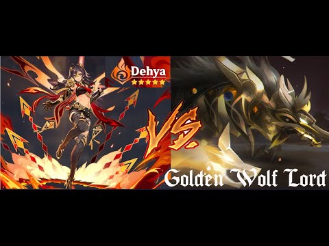Dehya vs Golden Wolf Lord Showcase - YouTube