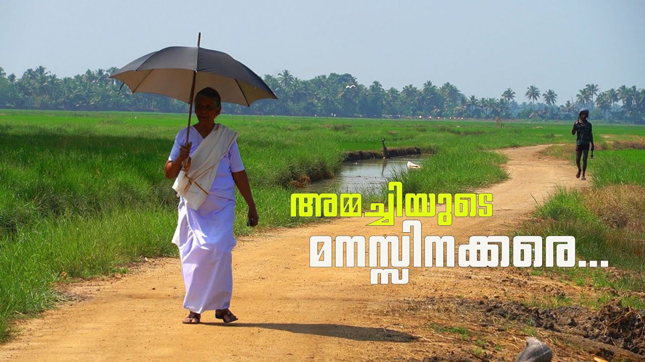 അമ്മച്ചിയുടെ നാട്ടിലെ ഓർമകളിലൂടെ |Journey to ammachi's childhood ...