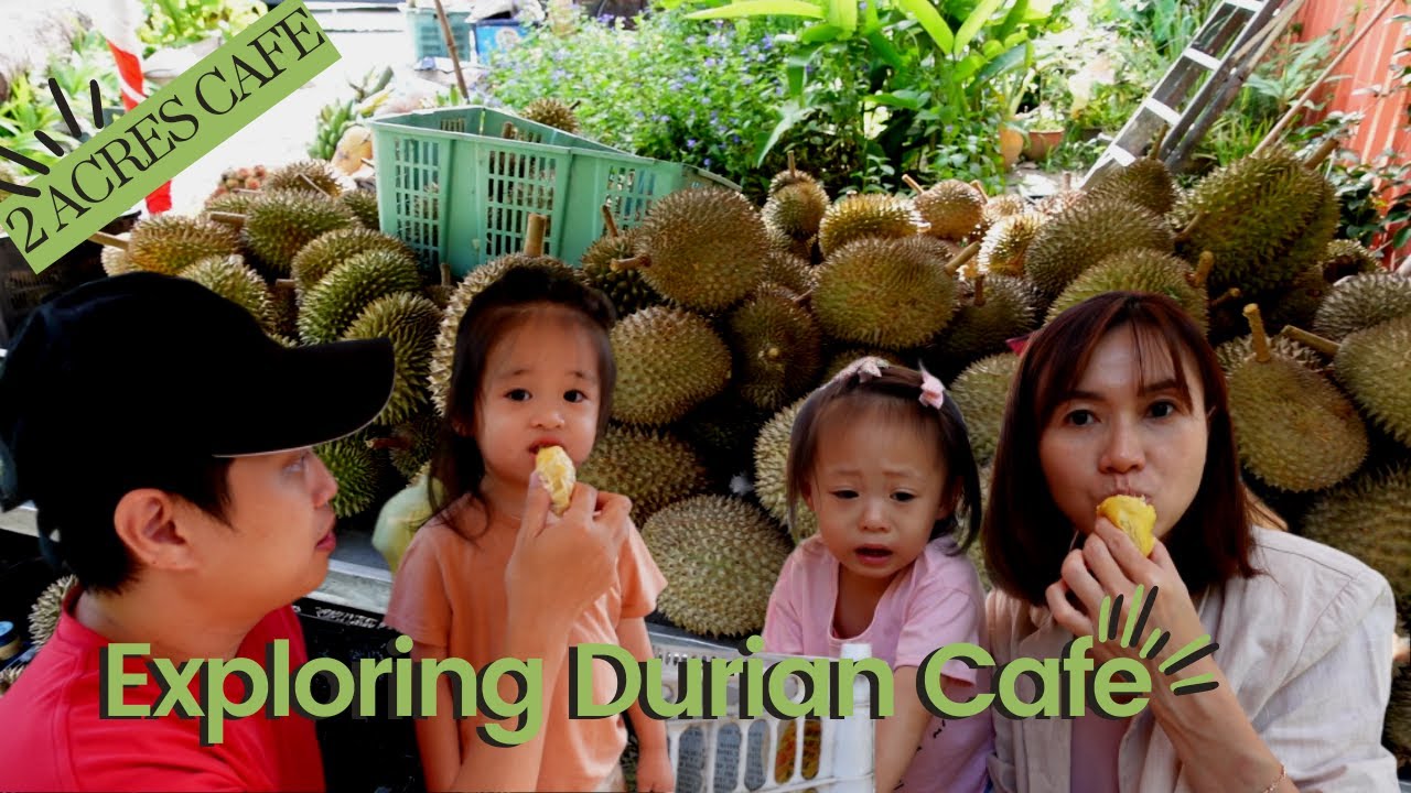 【VLOG】新开的榴莲cafe, 2 ACRES CAFE BALIK PULAU, Penang | 第一次在这样的环境吃榴莲 - YouTube