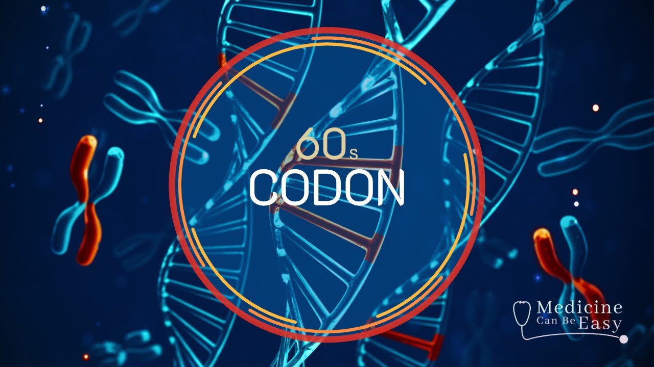 Genetics in 60 seconds: Codon - YouTube