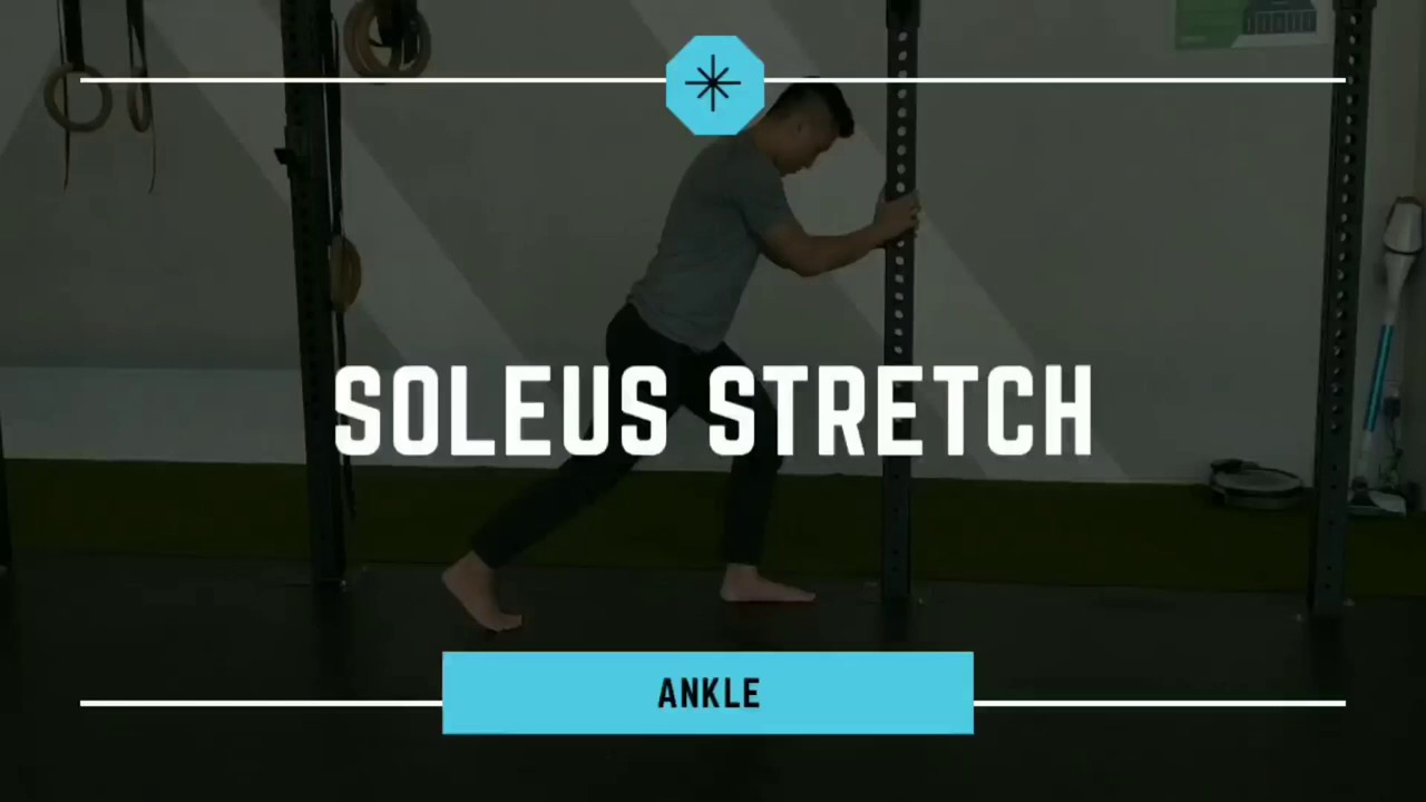 Soleus Stretch | Ankle Mobility - YouTube