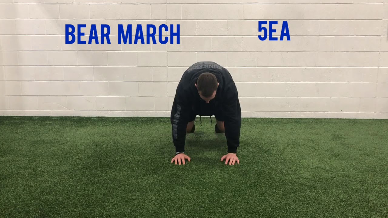 Bear march - YouTube