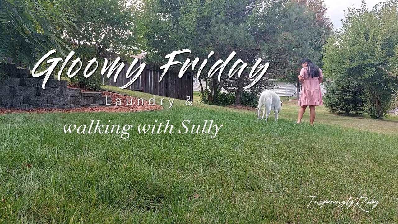 Gloomy Friday | Laundry | Walking my dog Sully - YouTube