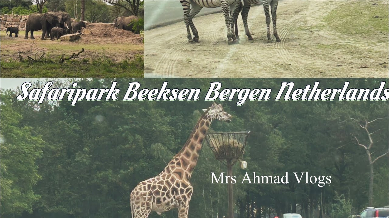 Safari Park Beeksen Bergen - 1 Day Trip, Part 1 - YouTube