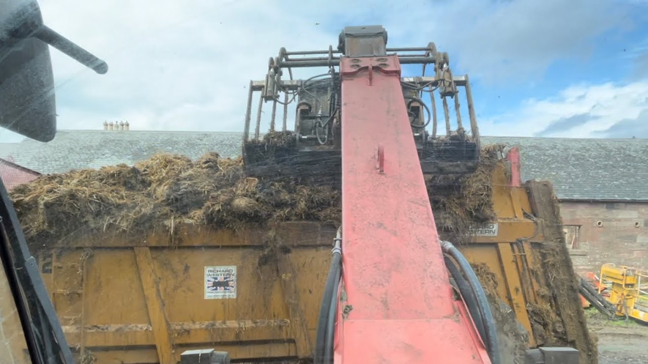 Mucking Out Big Shed!! Straight To The Field! - YouTube