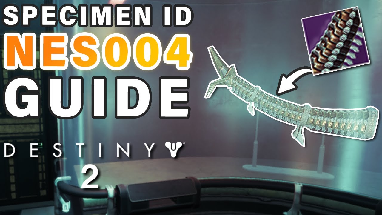 How to Complete Failsafe SPECIMEN ID: NES004 Complete Guide Destiny 2 ...
