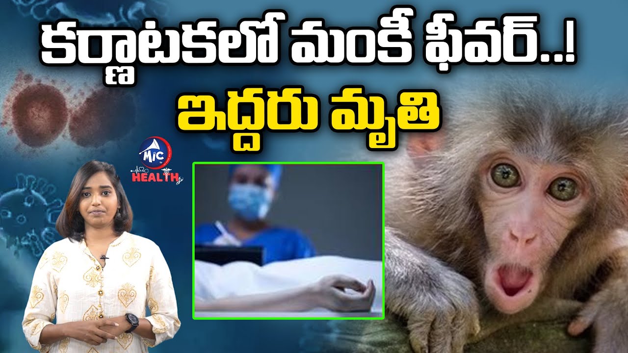 Monkey fever spread in Karnataka: Know about this disease and symptoms ...