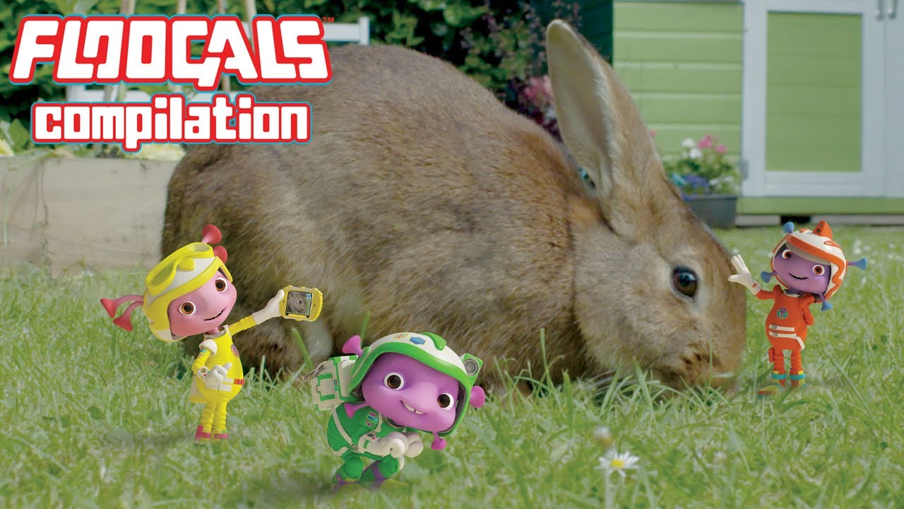 Il Meglio dei Floogals! 🌟 GLI ANIMALI! 🐶🐱 | I Floogals 🚀 - YouTube